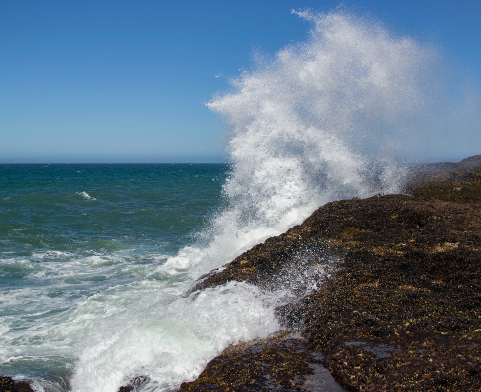 WEDUSEA wave energy project – key objectives