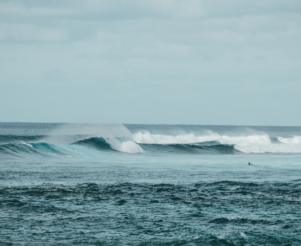 WEDUSEA wave energy project – structure and work packages