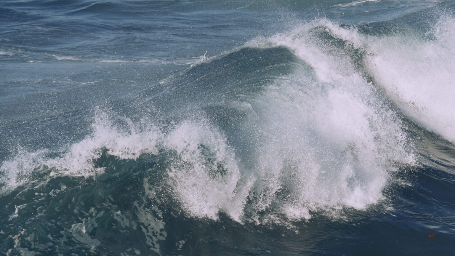 World’s largest wave energy convertor – WEDUSEA wave energy project